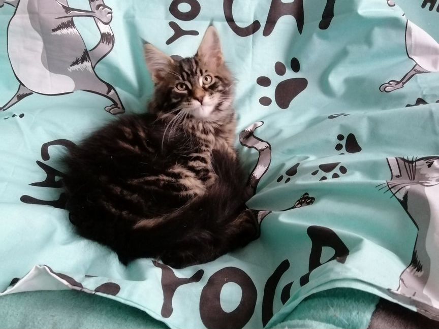 Самый красивый