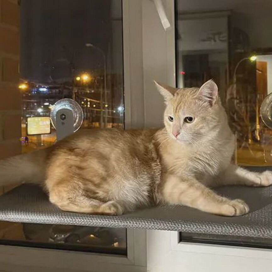 Гамак для кошек на окно складной