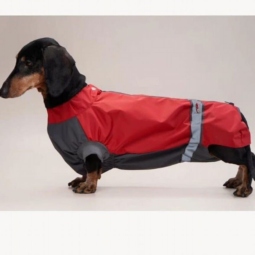 Комбинезон для таксы мембранный