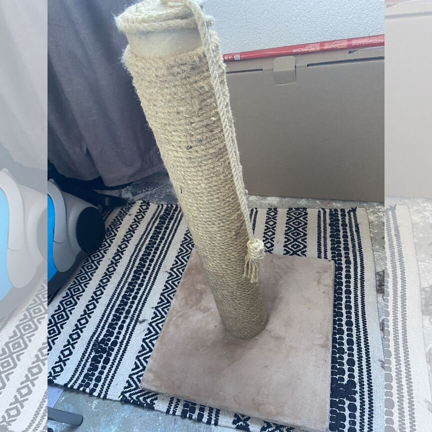 Когтеточка