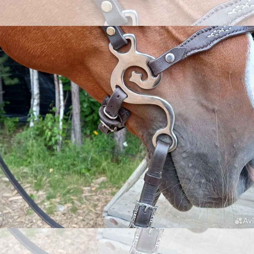 Хакамора в барочном стиле