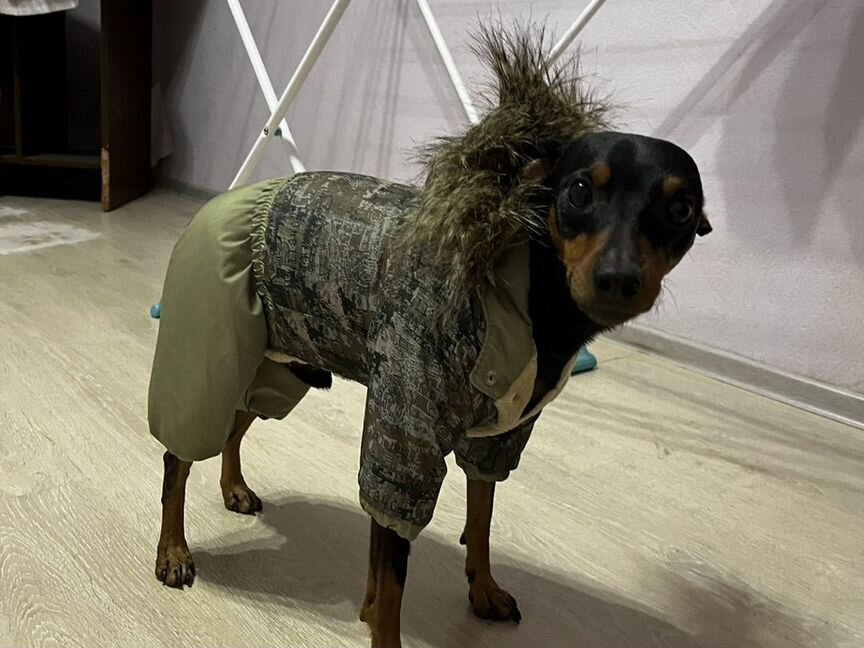 Комбенизон зима