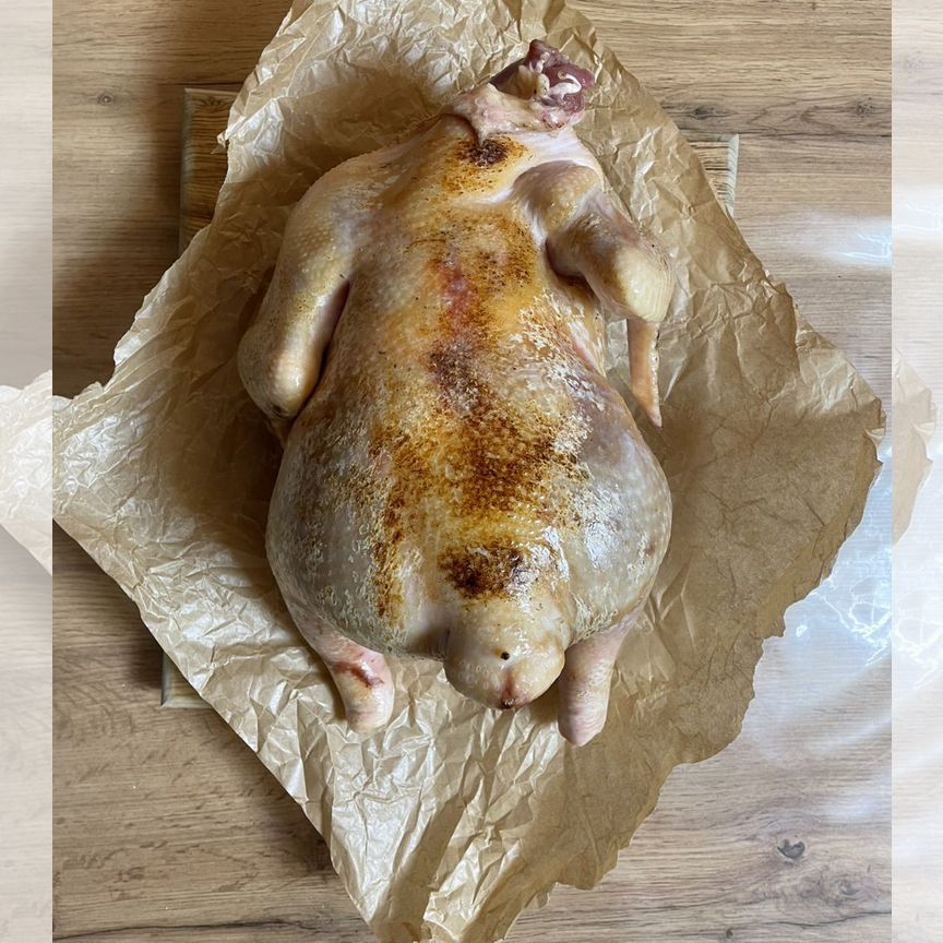 Петухи домашние на мясо