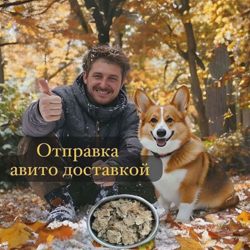 Корм для собак от производителя