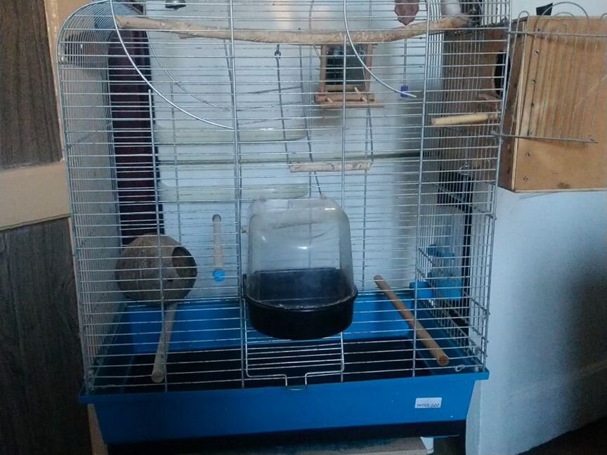 Клетка для средних пород попугаев+гнездовой домик