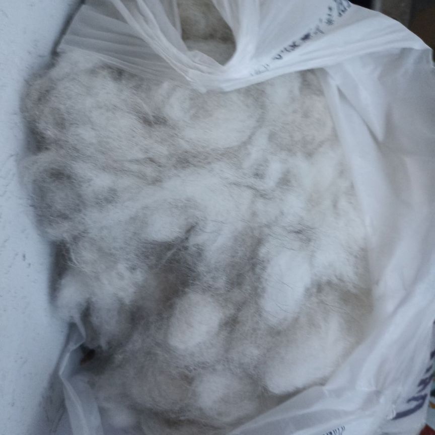 Собачья шерсть