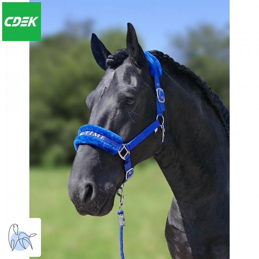 Недоуздок Teddy halter от HB - Синий