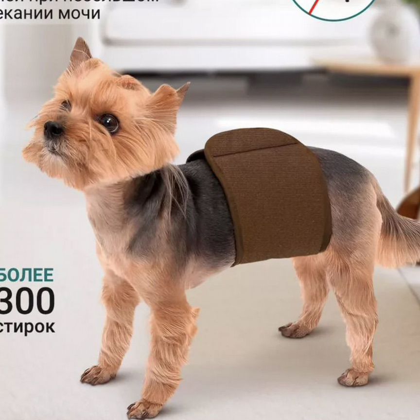 Пояс для кобелей многоразовый