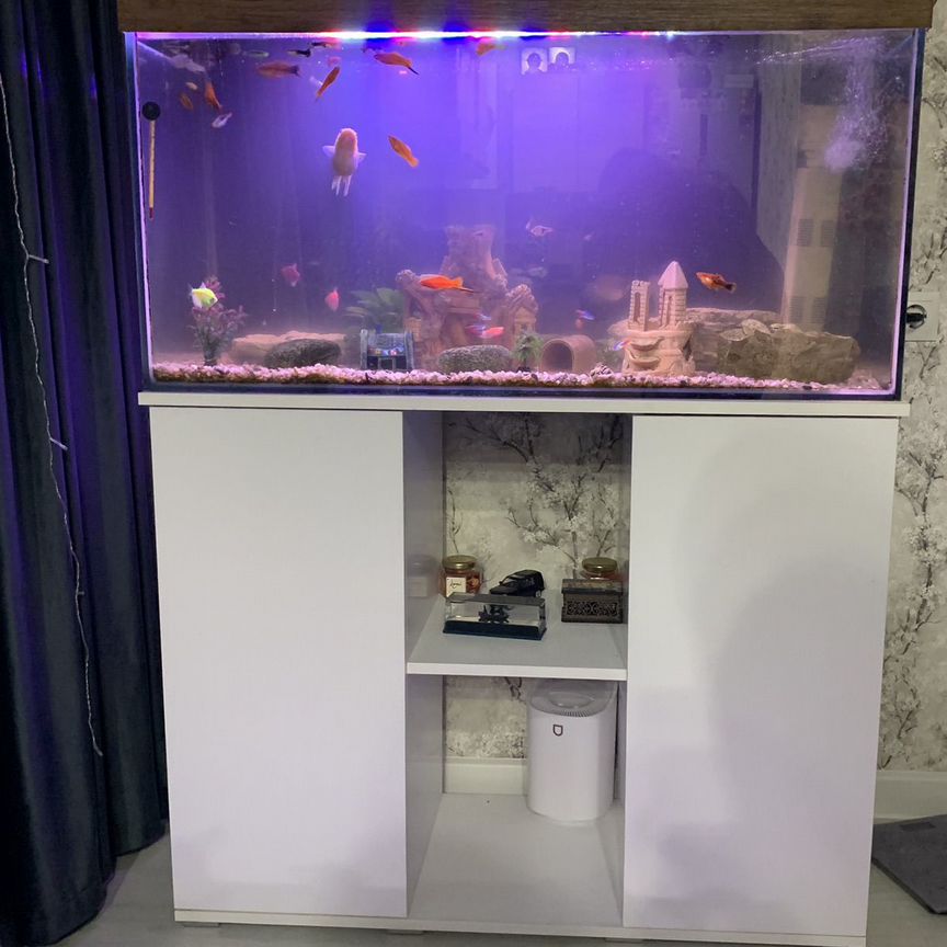 Аквариум с тумбой и рыбками