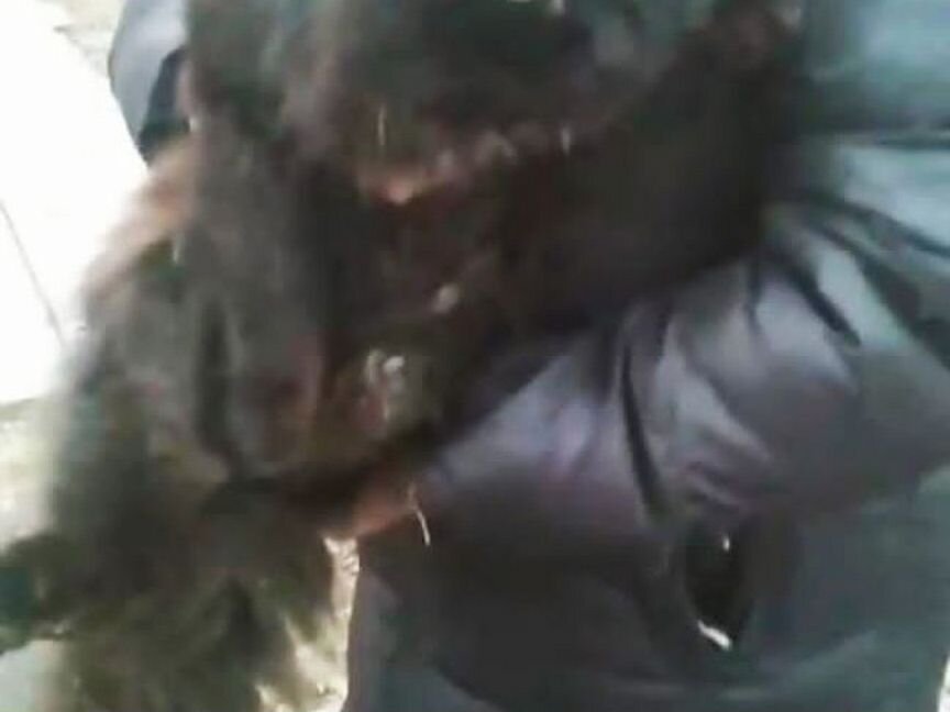 Котик очень нуждается в доме