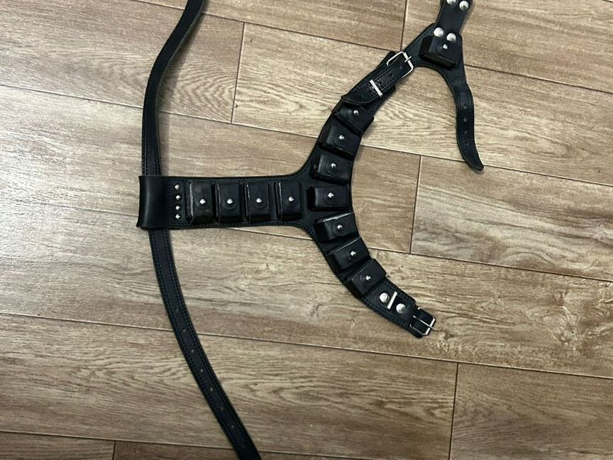 Шлейка с грузами для собак