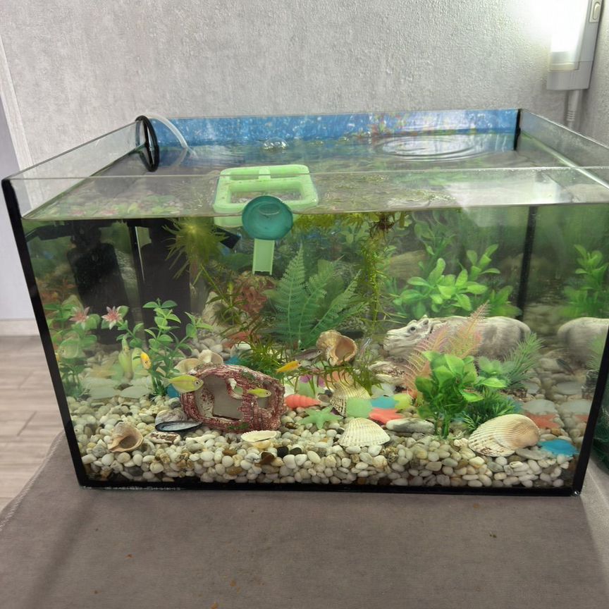 Аквариум на 30 литров