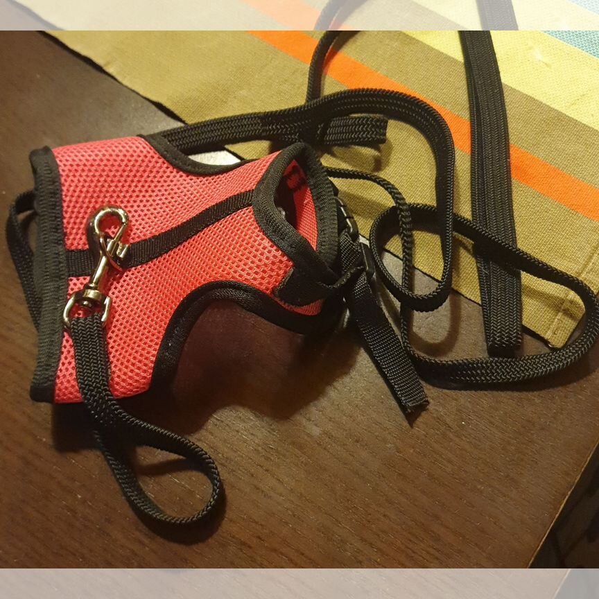 Шлейка для крысы