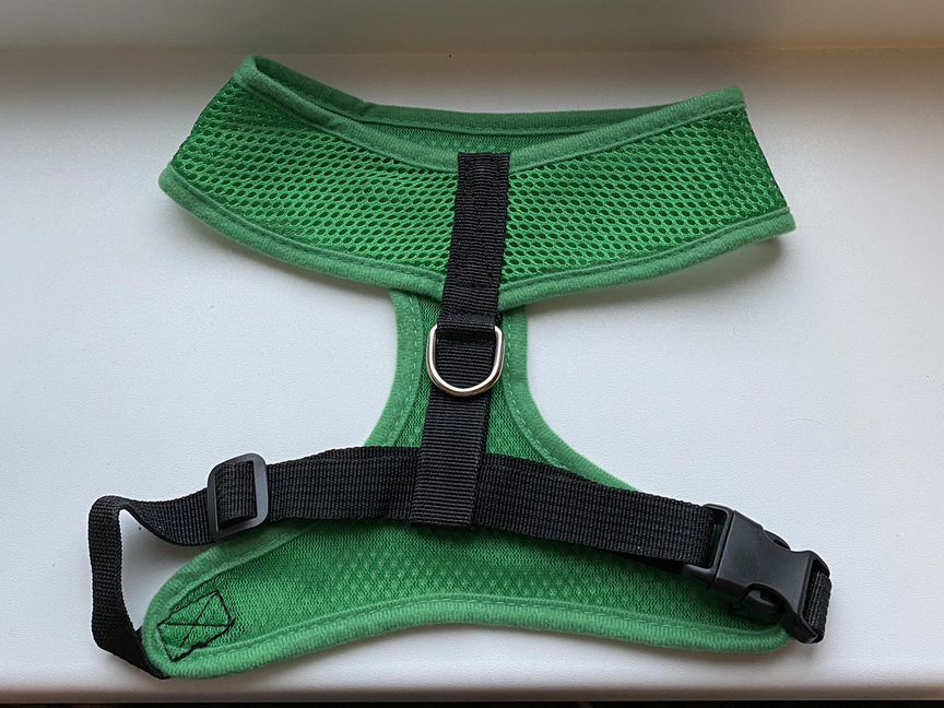 Шлейки для маленьких собак