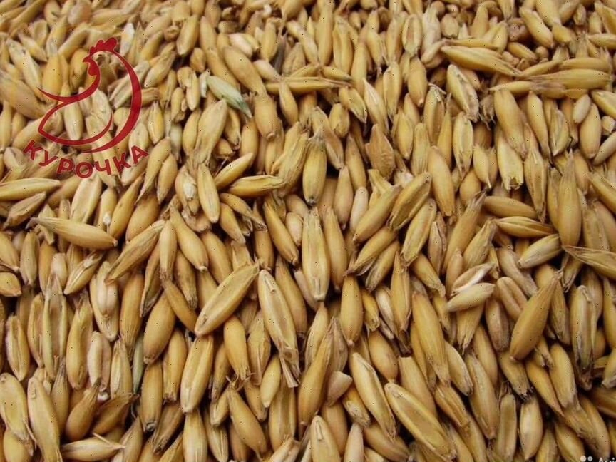 Овес в мешках