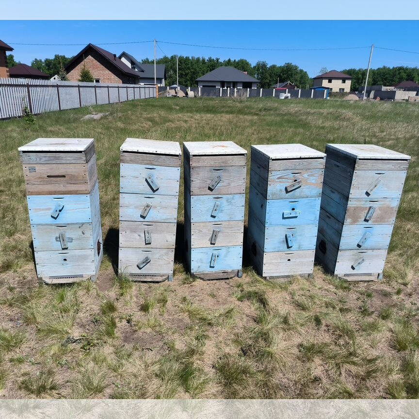 Улья рут на 230 рамку