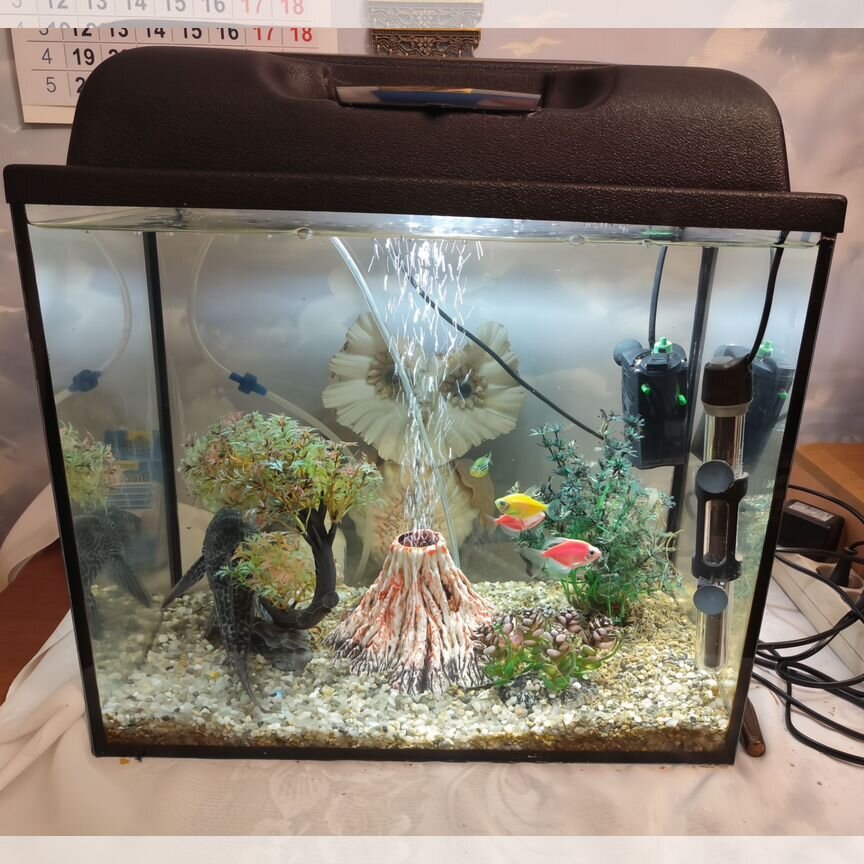 Аквариум с рыбками