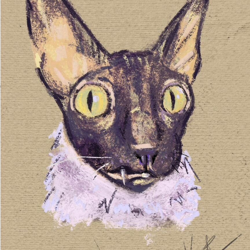 Нарисую вашего питомца