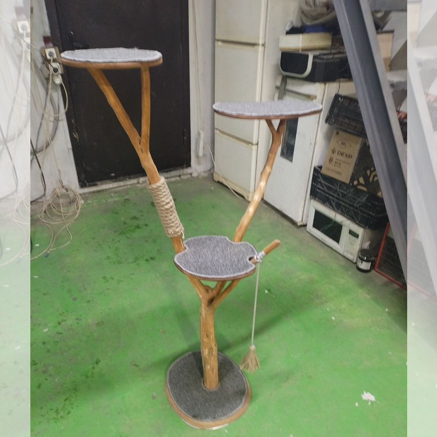 Когтеточка,подствка для цветов