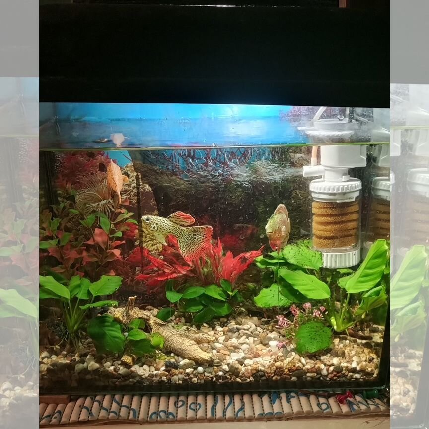 Аквариум для рыбок бу