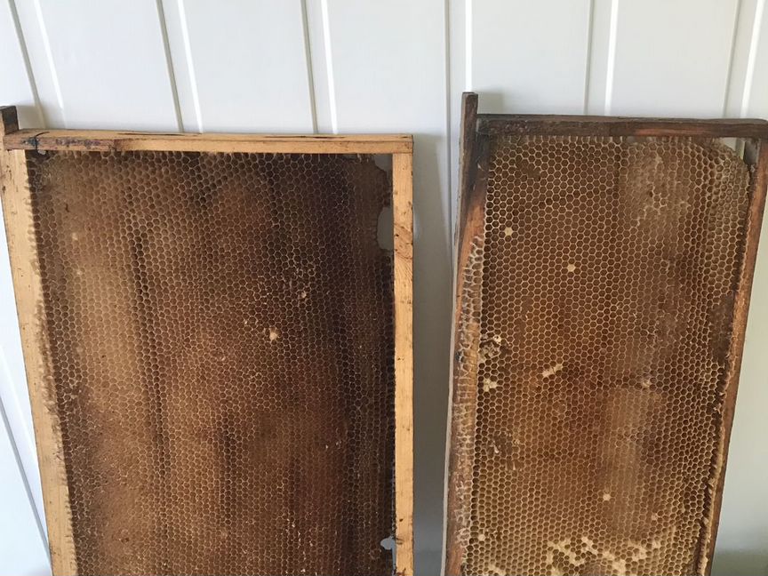 Сушь для пчёл