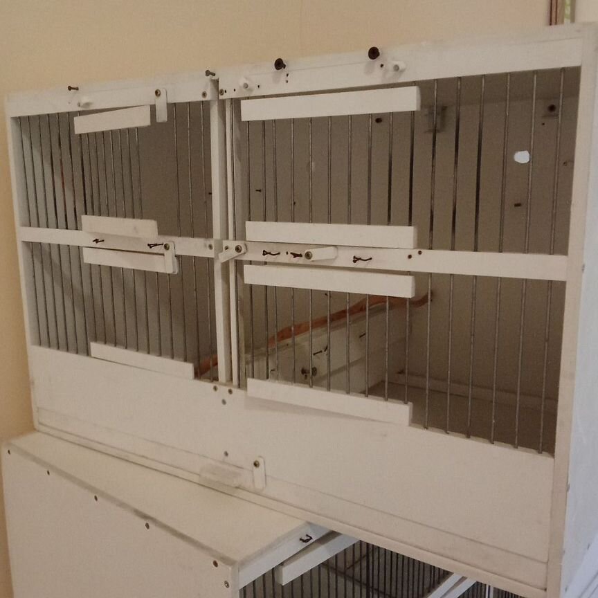 Бокс клетка для птиц