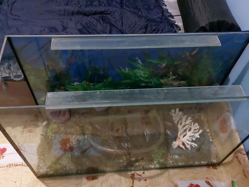 Аквариум 170л