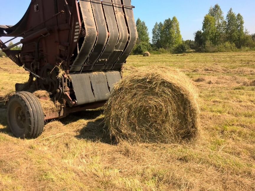 Сено в рулонах 2022 23 года уличное хранение