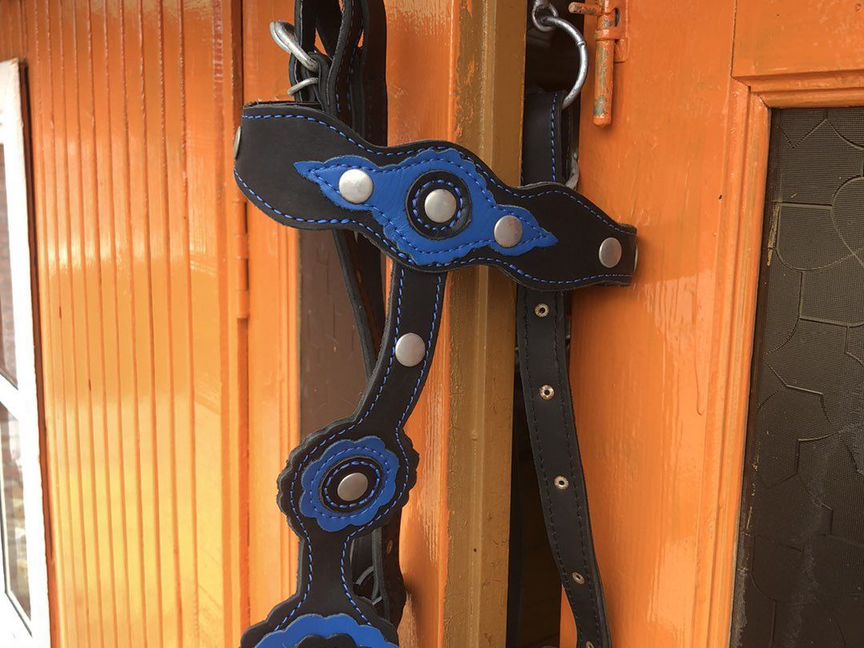 Уздечка для лошади