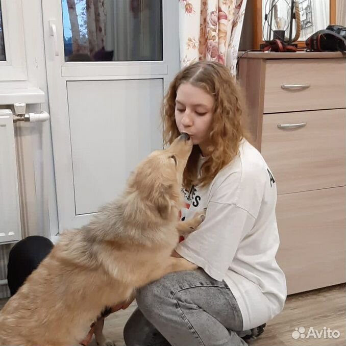 Собачка щенок Латте - в добрые руки