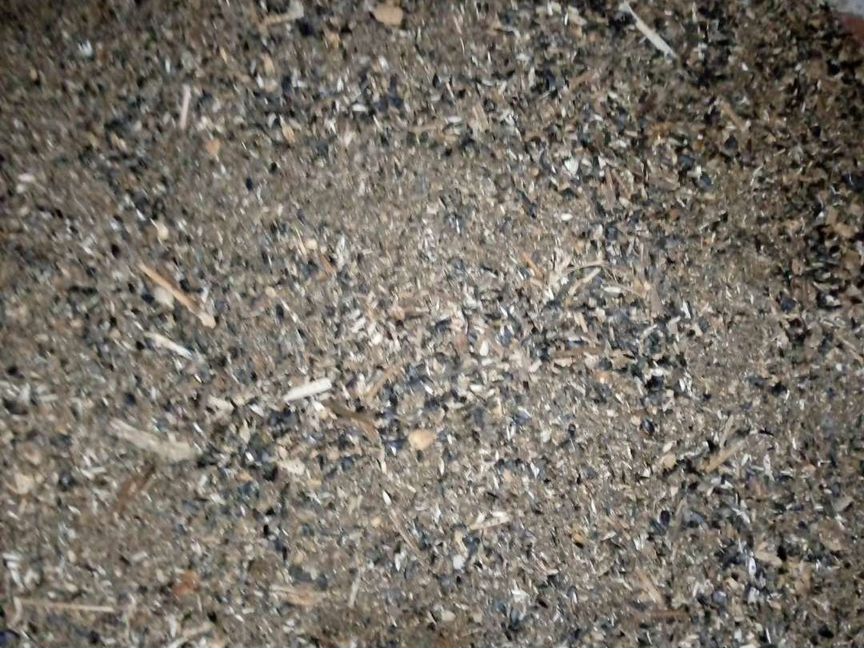 Отходы семечки