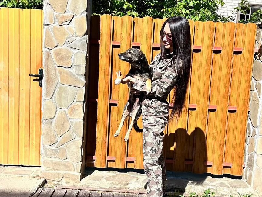 Небольшая собака в добрые руки отдам бесплатно