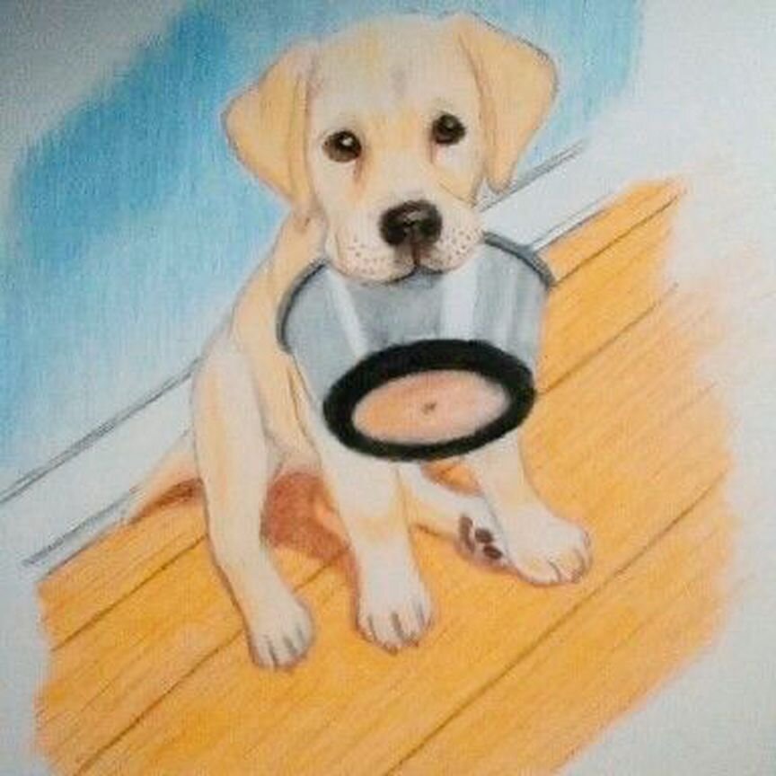 Рисую ваших питомцев