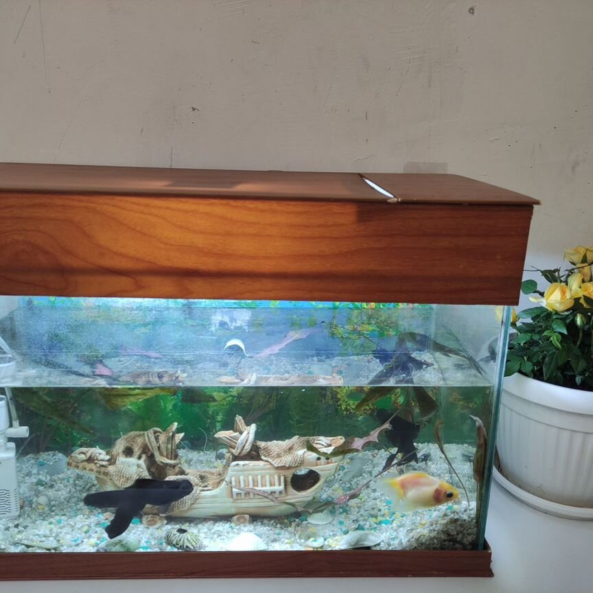 Аквариум с рыбками
