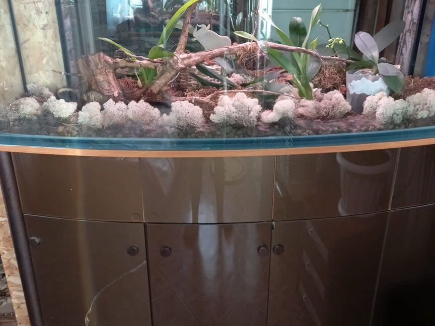 Большой аквариум с тумбой