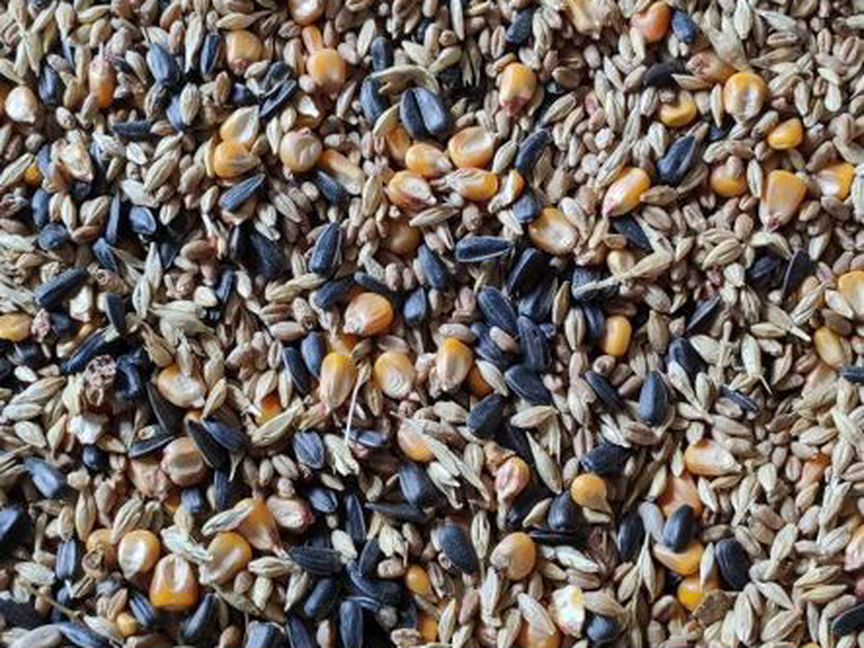 Зерносмесь