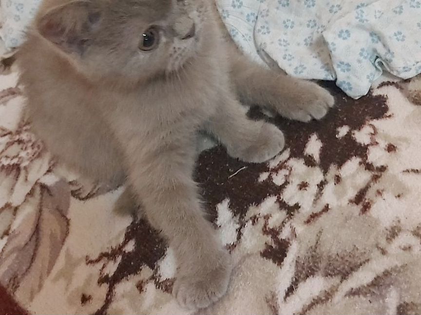 Экзотическая