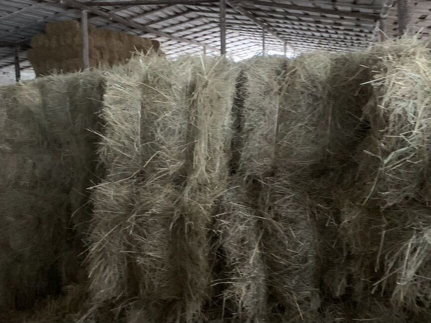 Сено разнотравье в тюках солома в тюках