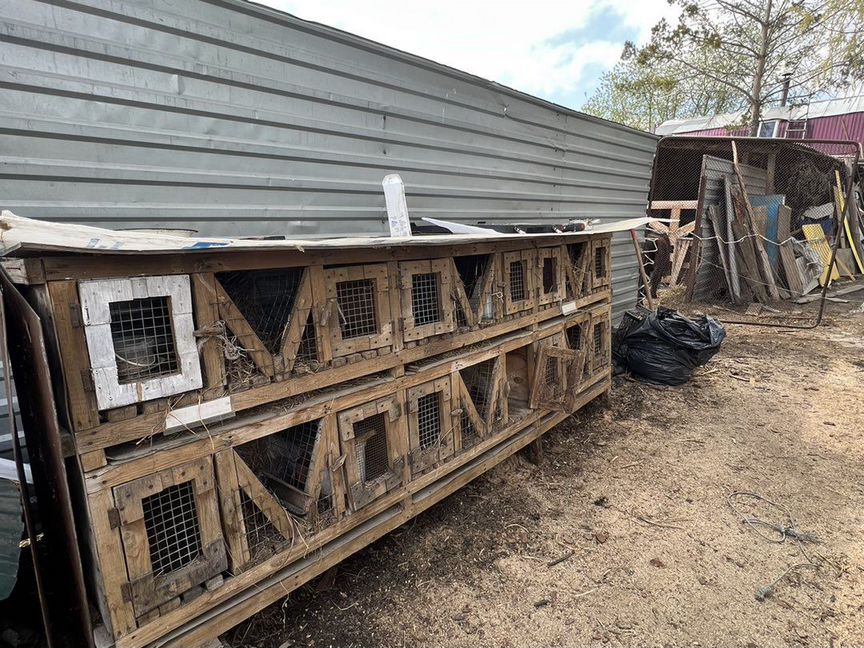 Крольчатник