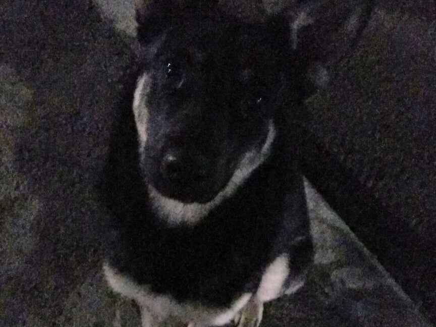 Помогите пожалуйста