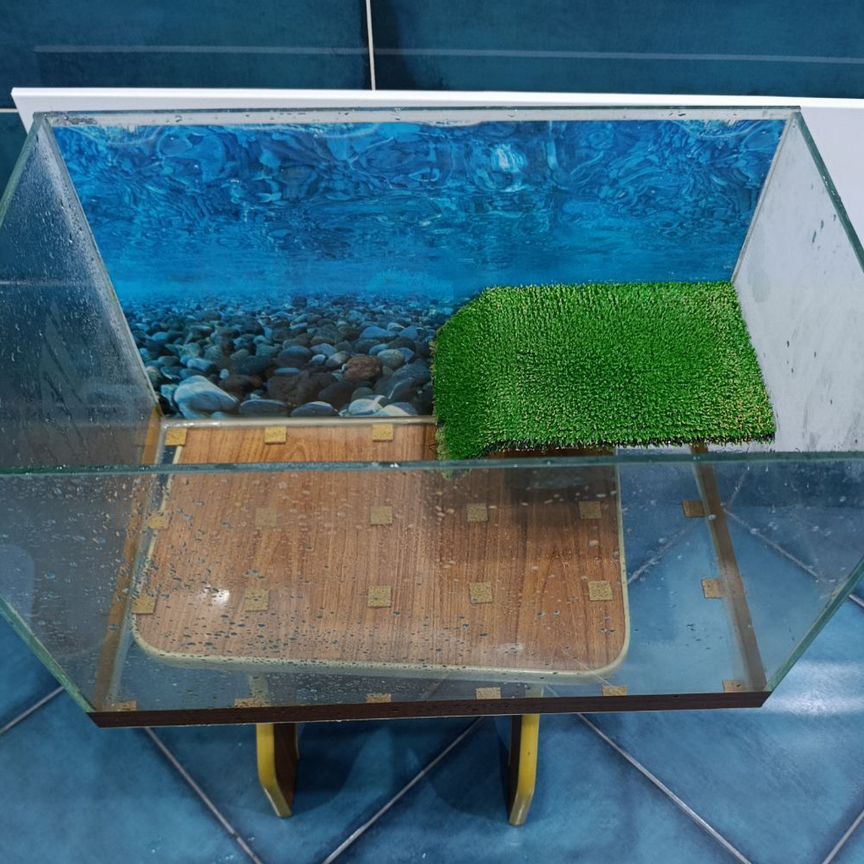 Черепашник с комплектом