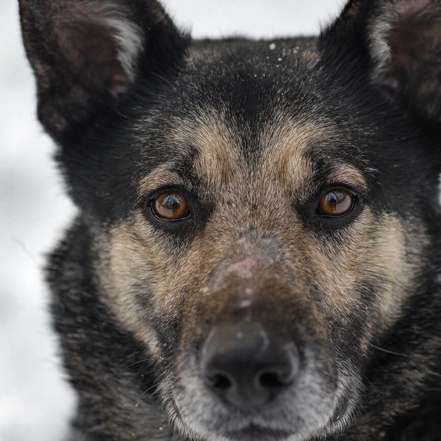 Ищет самые любящие ручки