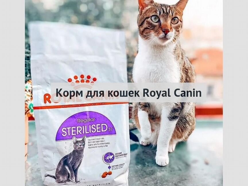 Корм для кошек Royal canin sterilised 4 кг Kорм дл