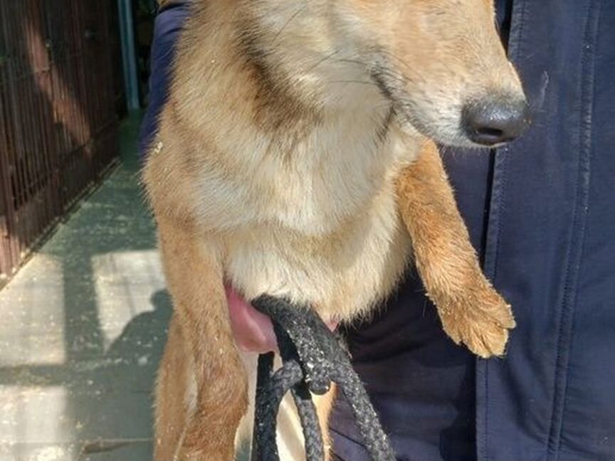 Забери меня из приюта