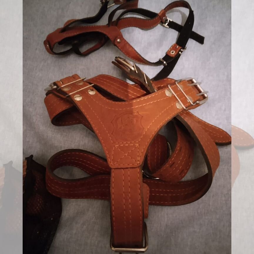 Шлейка с грузами для крупной собаки