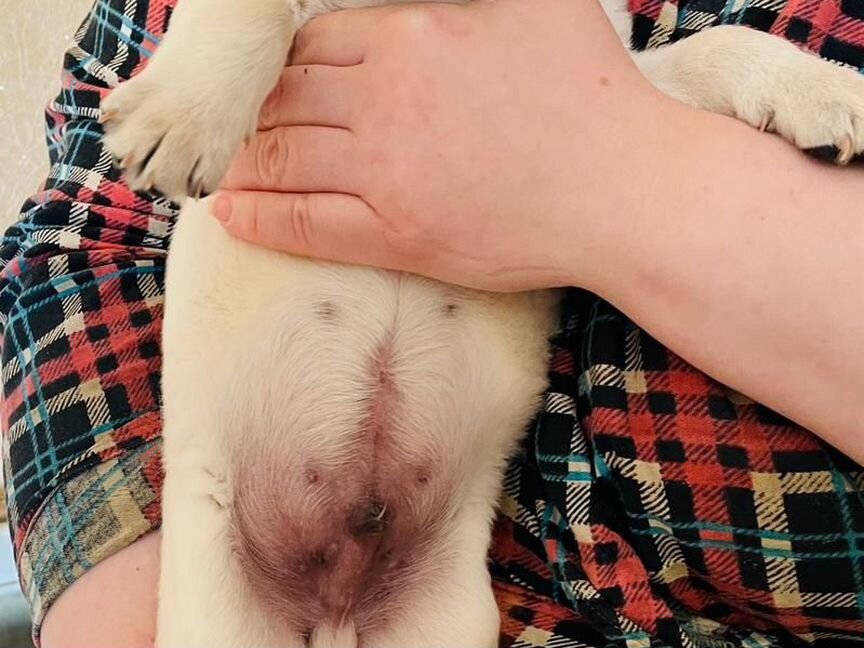 У него всего несколько дней очень нужен дом