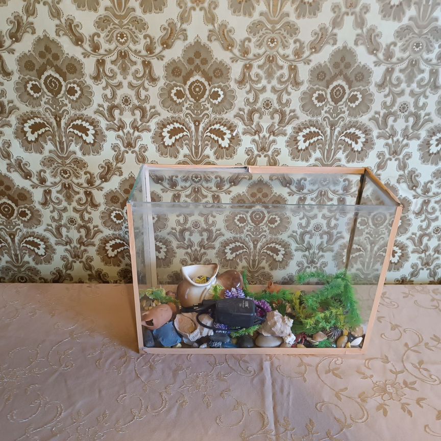 Аквариум