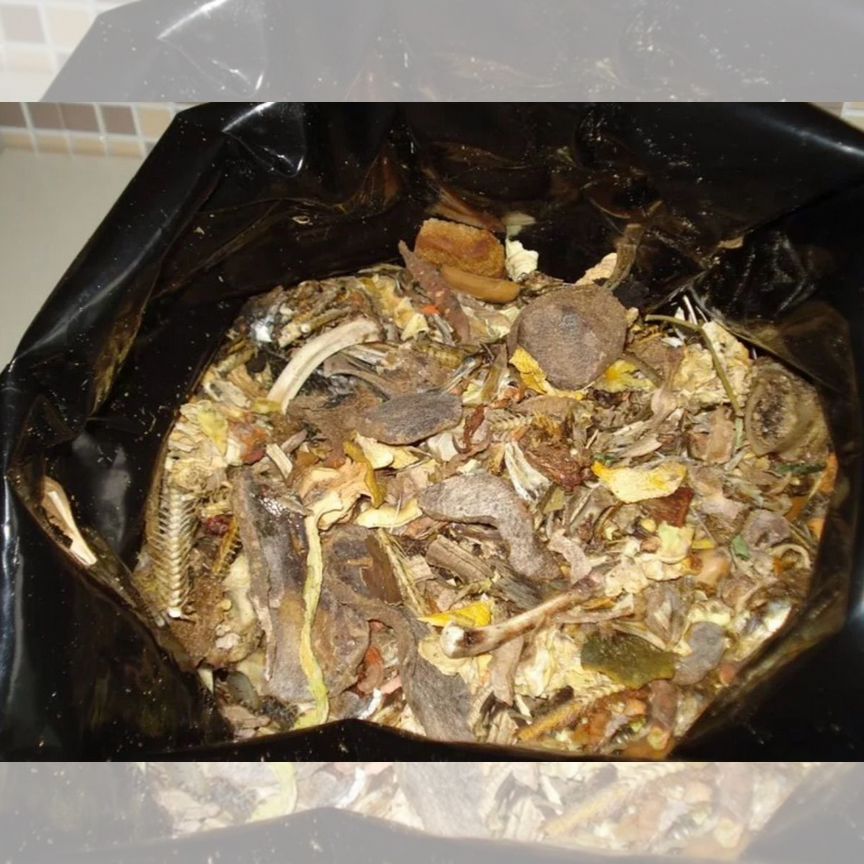 Отходы пищевые столовые