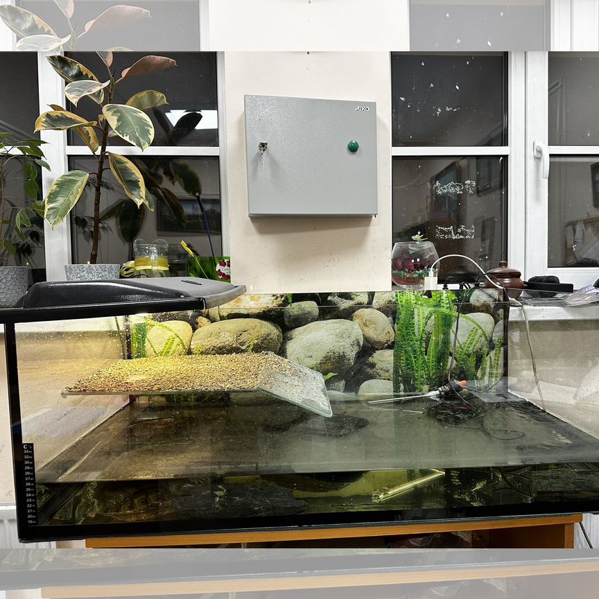 Террариум для черепахи