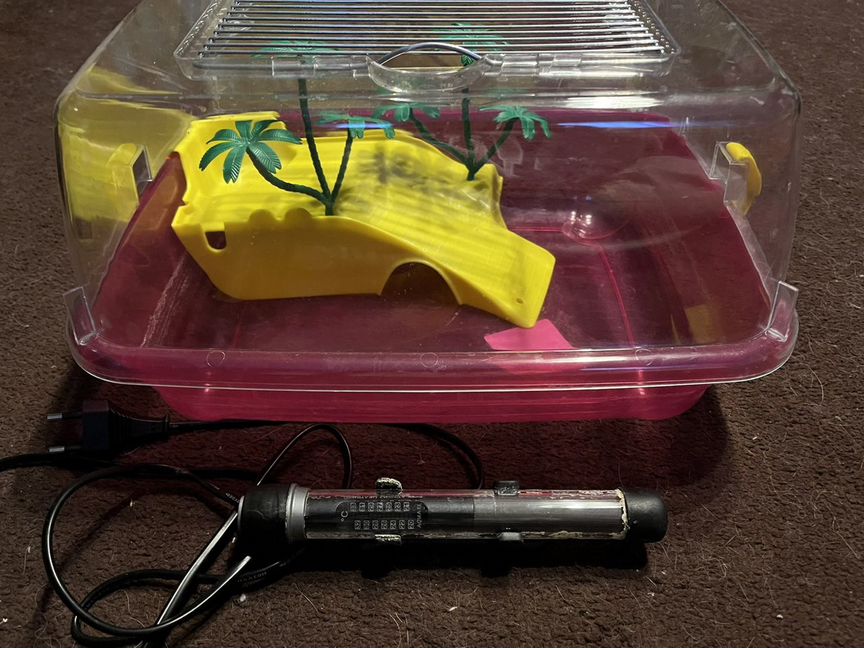 Террариум и электронный нагреватель